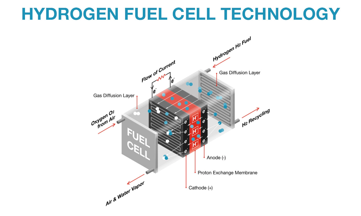 Hydrogen Fuel Cells - Definition, Structure,Principle And Applications ...